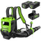 80V 800CFM Cordless Battery Dual Port Backpack Blower w/ (2) 5Ah Batte